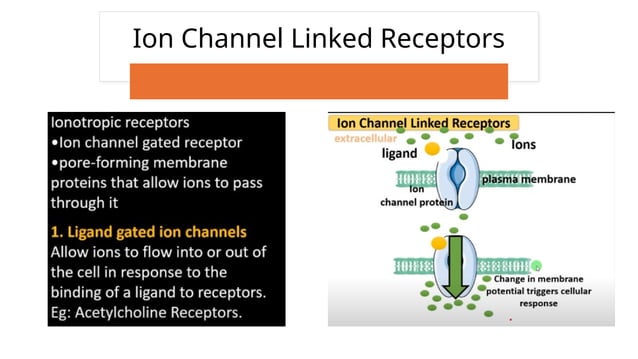 Cell Surface Receptor & internal Receptor.pptx