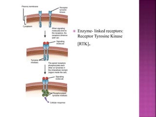 CELL SURFACE RECEPTORS.pptx