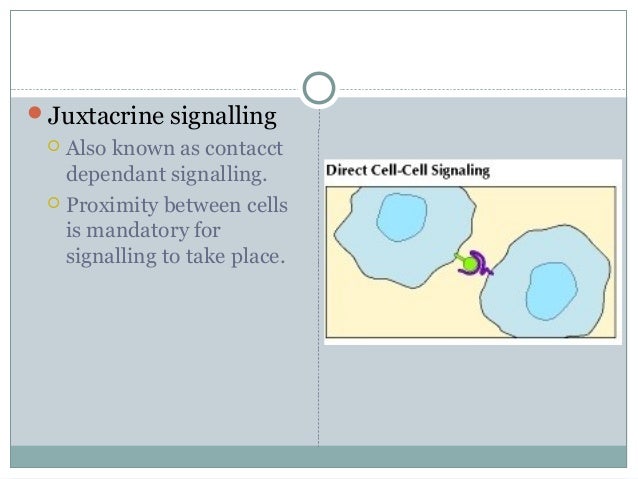 Cell surface receptors and signalling molecules