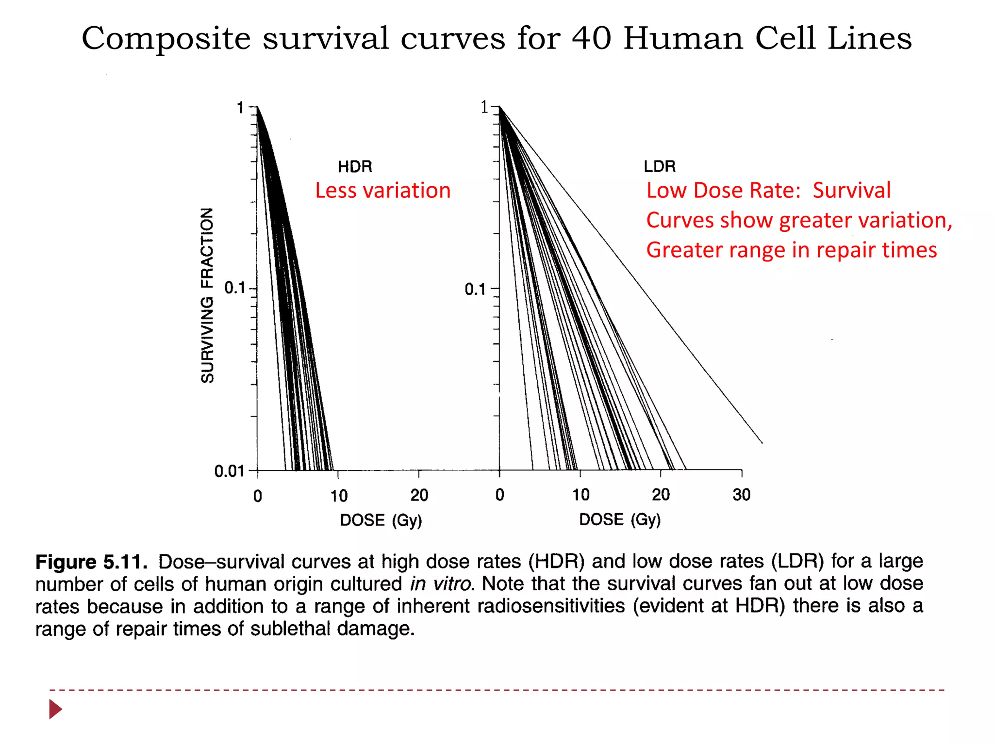 Cell survival curve | PPTX