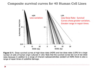 Cell survival curve | PPTX