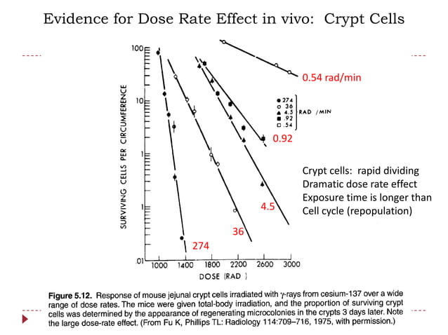 Cell survival curve | PPTX | Cancer | Diseases and Conditions
