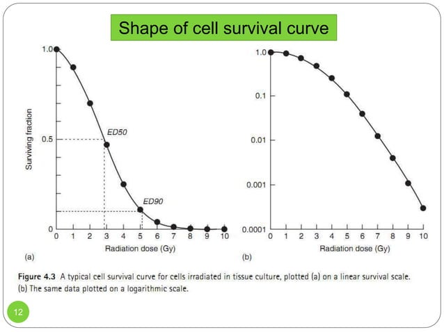 Cell survival curve | PPTX | Cancer | Diseases and Conditions