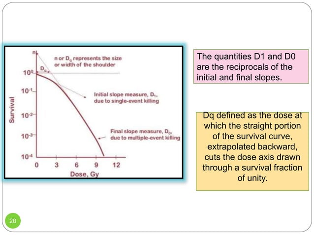 Cell survival curve | PPTX | Cancer | Diseases and Conditions