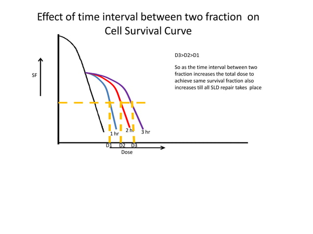 CELL SURVIVAL CURVE.pptx