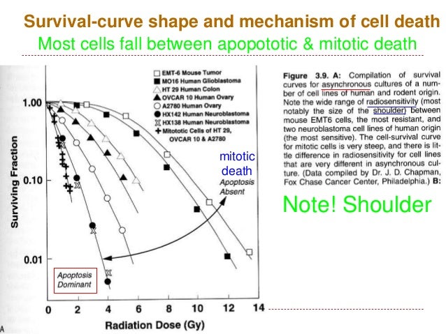 Cell survival curve