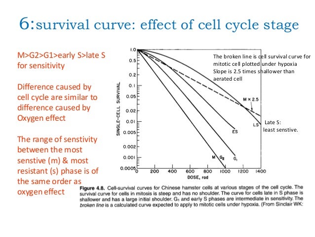 Cell survival curve