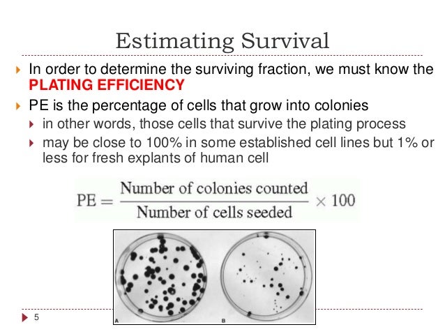Cell survival curve