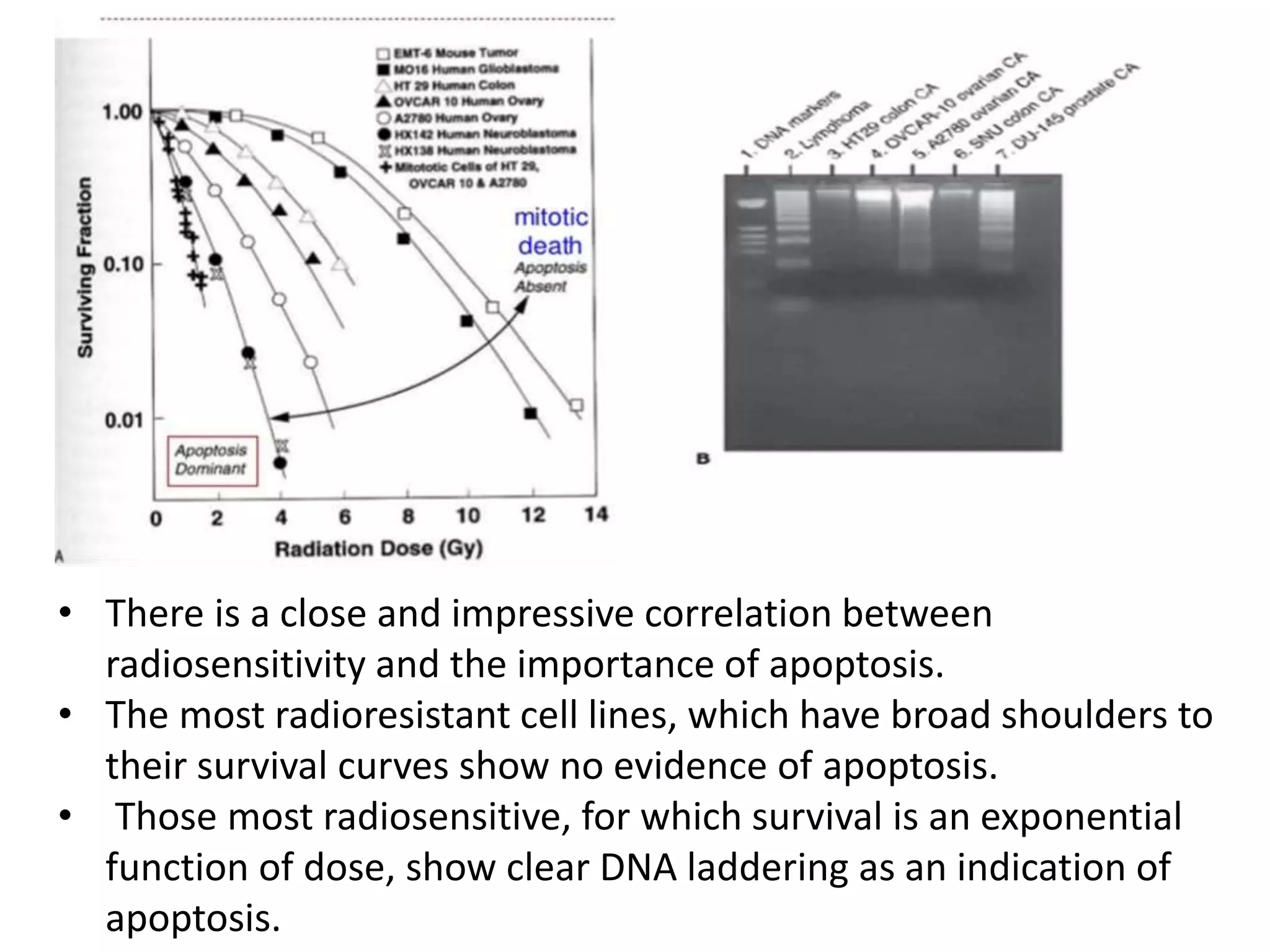 Cell survival curves- Radiobiology | PPTX