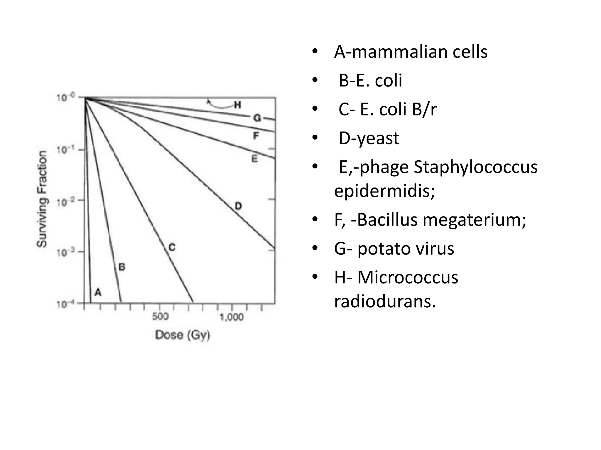 Cell survival curves- Radiobiology | PPTX