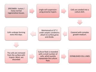 Cell survival curves- Radiobiology | PPTX