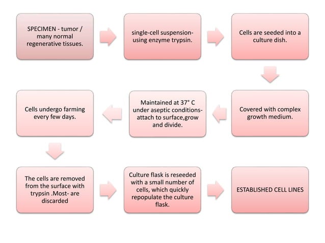 Cell survival curves- Radiobiology | PPTX | Cancer | Diseases and ...