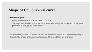 Cell survival curves | PPTX