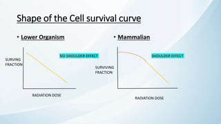 Cell Survival Curves by Dr.Abhilash.pptx