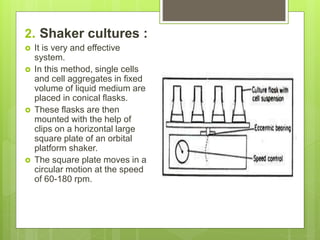 Cell suspension culture | PPTX