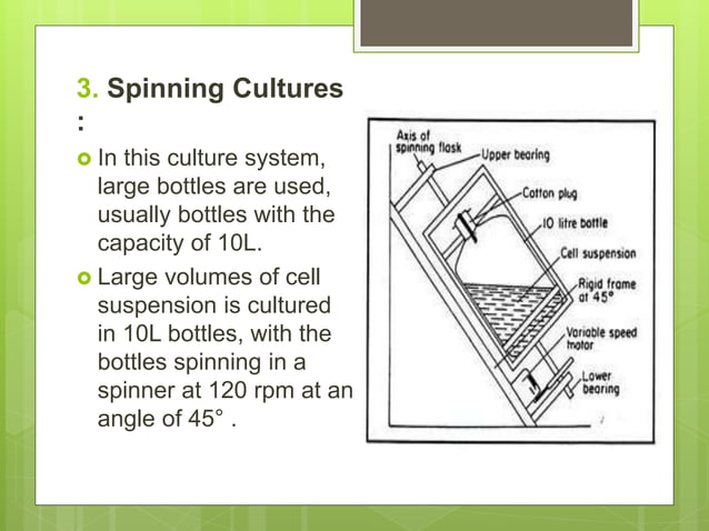 Cell suspension culture | PPTX