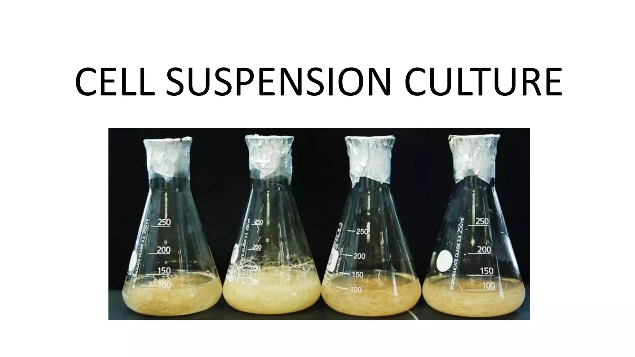 Cell Suspension Culture Pptx