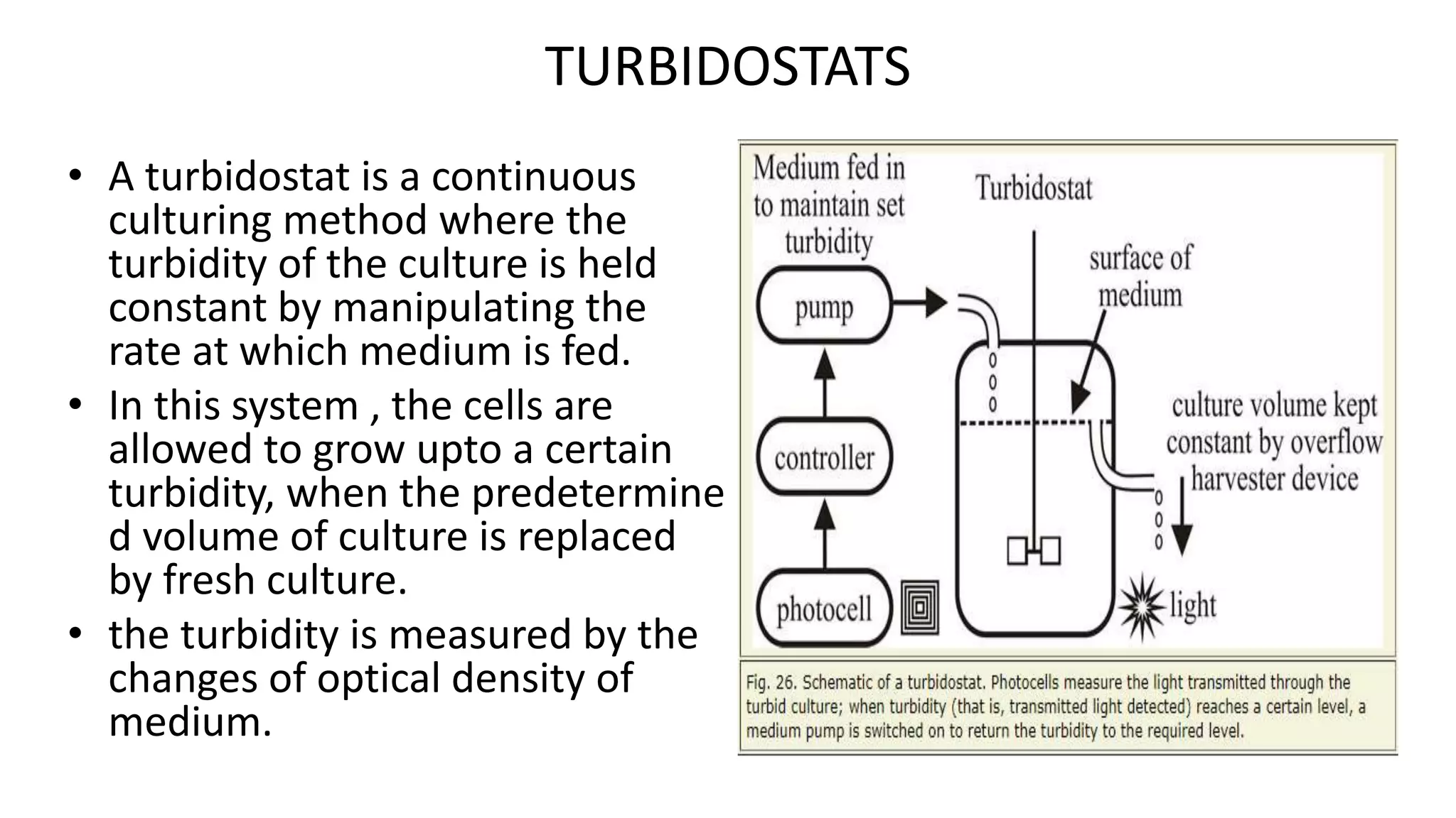 Cell suspension culture | PPTX