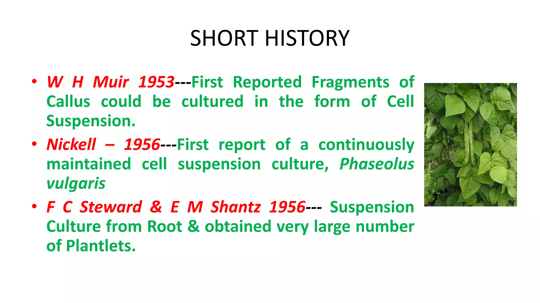 Cell suspension culture | PPTX