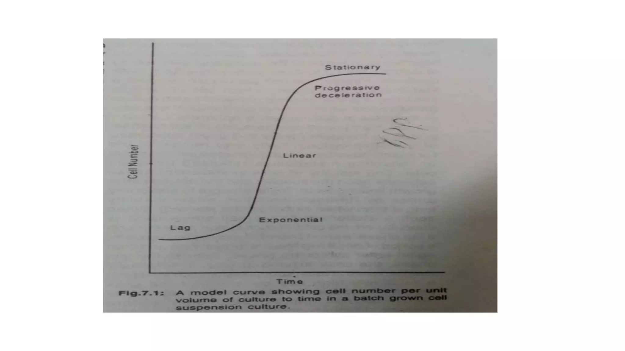 Cell suspension culture | PPTX