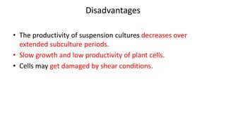 Cell suspension culture | PPTX