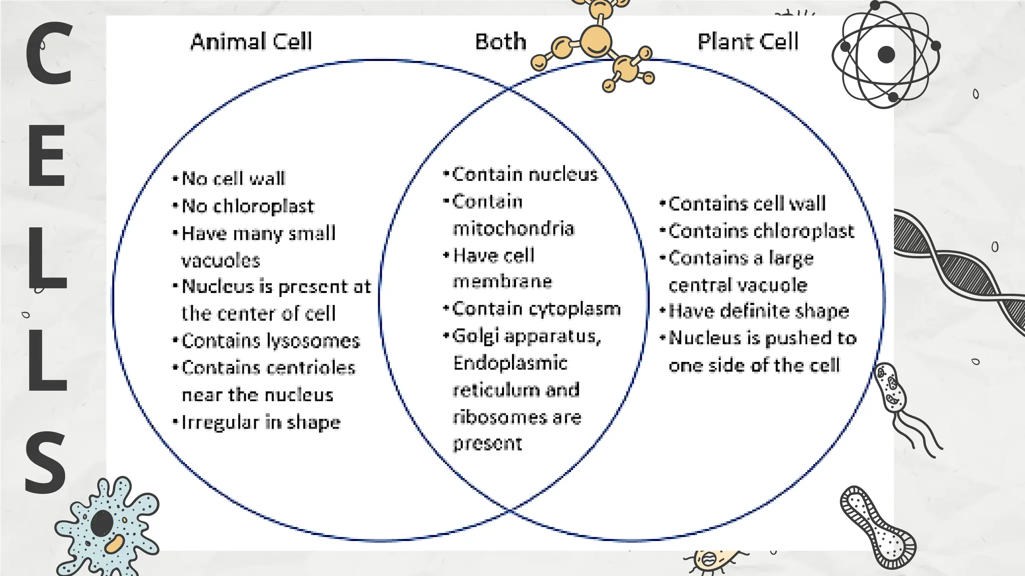 Cell Symbiosis and Funstions General Biology 1.pptx