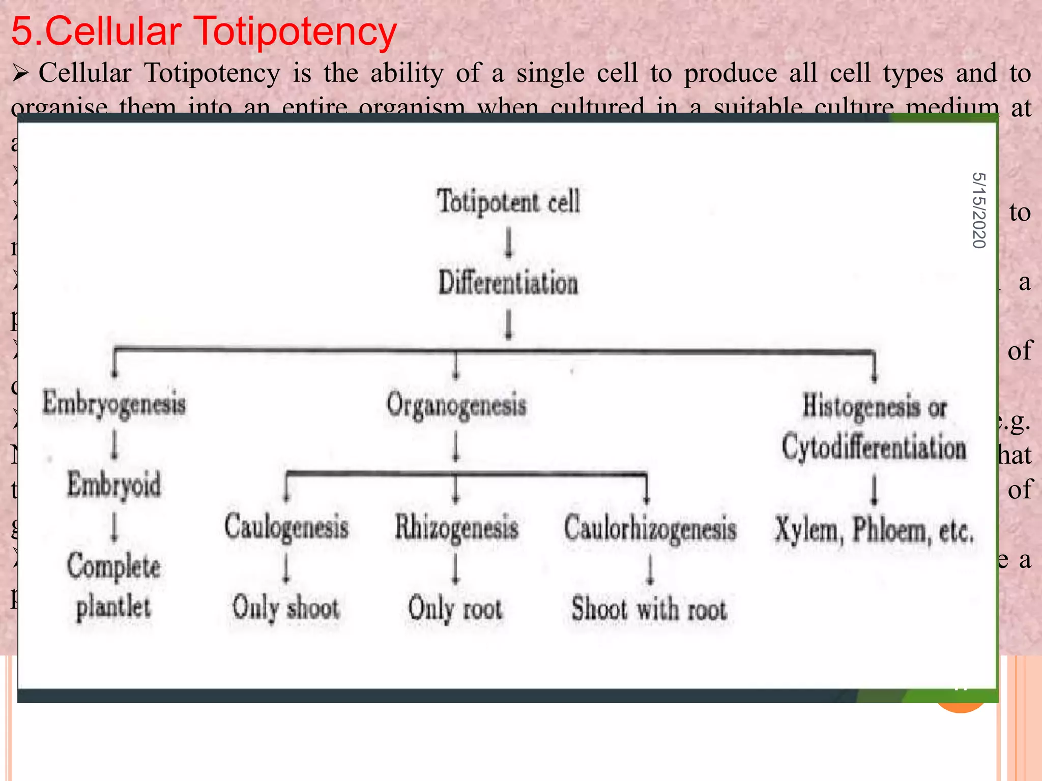 Cell synchronization | PPTX