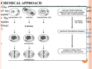 Cell synchronization | PPTX