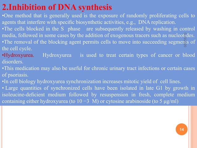 Cell synchronization | PPTX