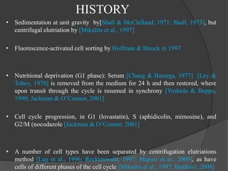 Cell synchronization, animal cell culture | PPTX