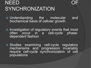 Cell synchronization, animal cell culture | PPTX