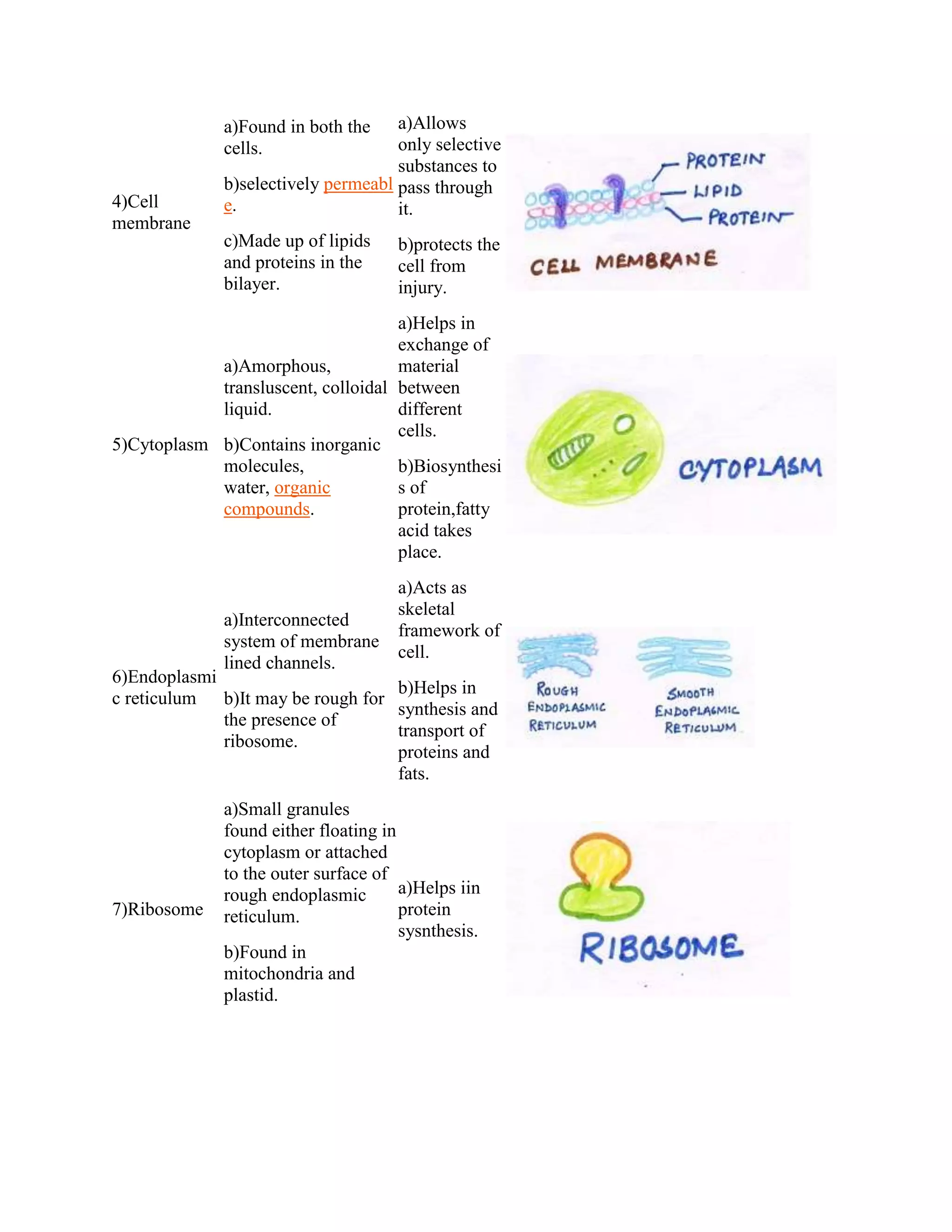 CELL THE BASIC UNIT OF LIFE.docx
