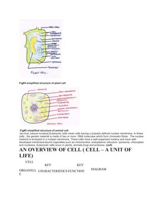 CELL THE BASIC UNIT OF LIFE.docx | Biological Sciences | Science