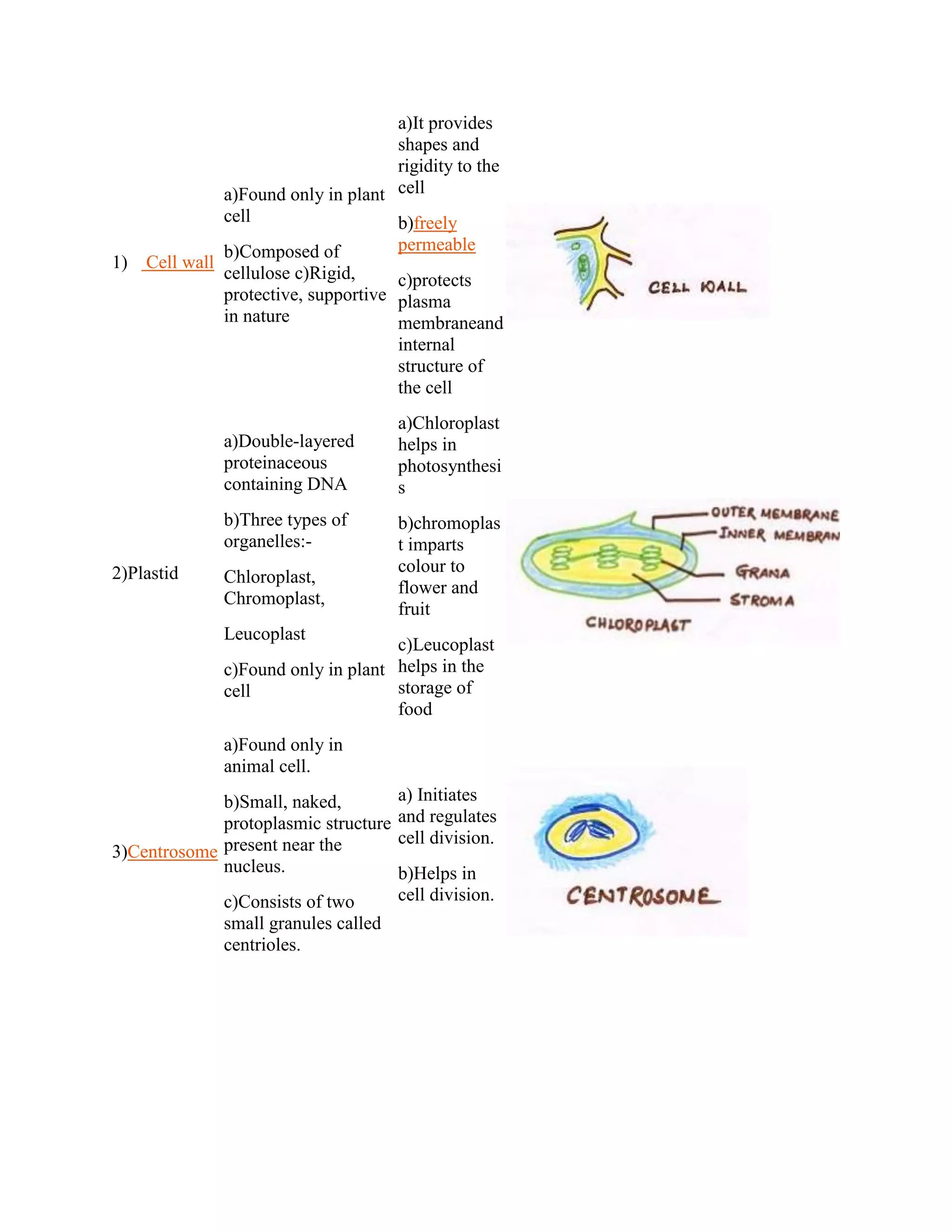 CELL THE BASIC UNIT OF LIFE.docx