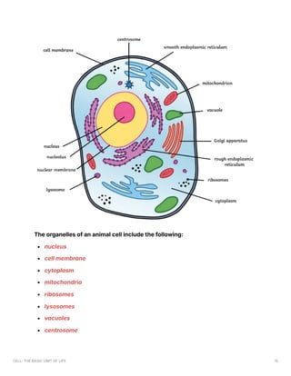 CELL THE BASIC UNIT OF LIFE(Biology).pdf