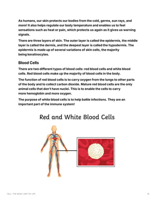 CELL THE BASIC UNIT OF LIFE(Biology).pdf