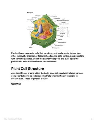 CELL THE BASIC UNIT OF LIFE(Biology).pdf