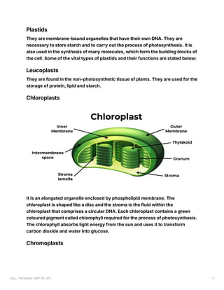 CELL THE BASIC UNIT OF LIFE(Biology).pdf