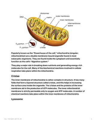 CELL THE BASIC UNIT OF LIFE(Biology).pdf