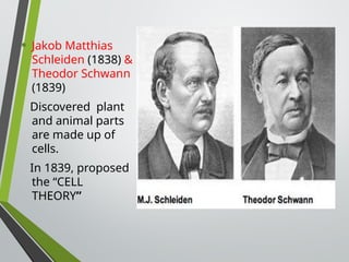 BIOENERGETICS cell: the basic unit of life | PPTX | Biological Sciences ...