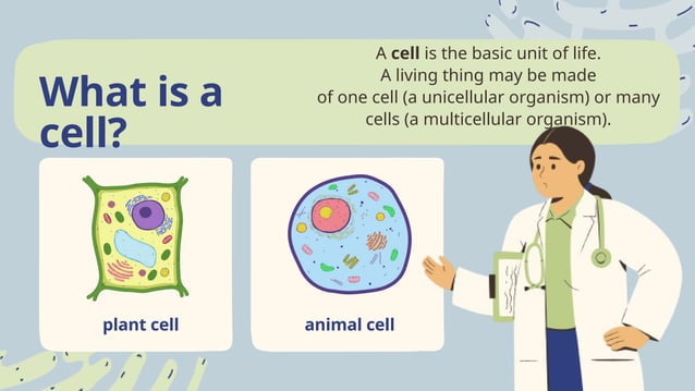 Cell The Basic Unit of Life.........pptx