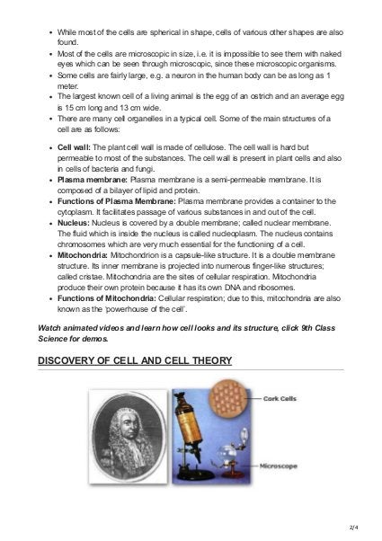 Cell The fundamental unit of life Class 9 Science Notes.pdf
