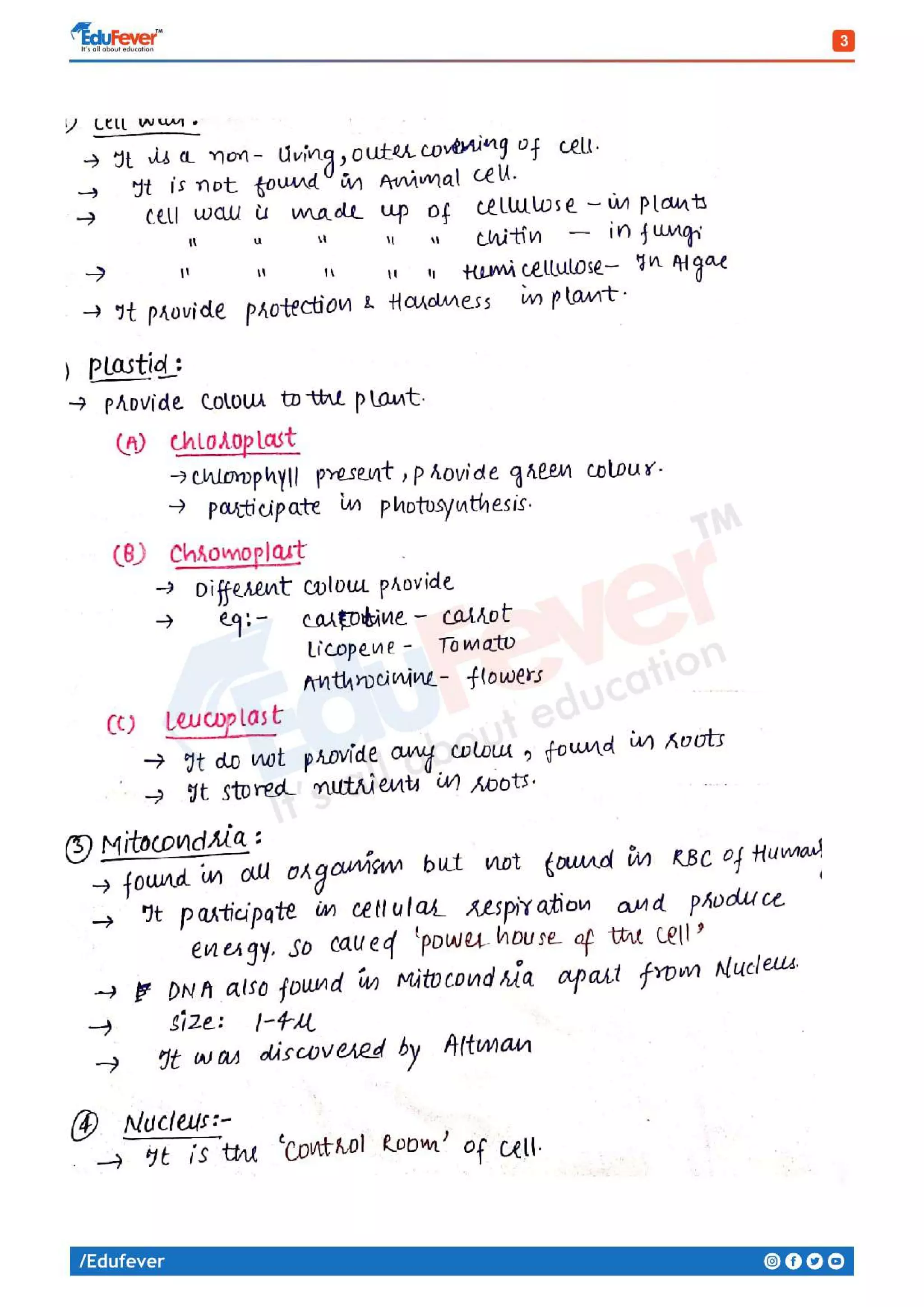 Cell Theory - Biology Handwritten Notes | PDF