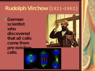 celltheory-090417140833-phpapp02.pdf