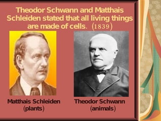 Cell Theory | PPT