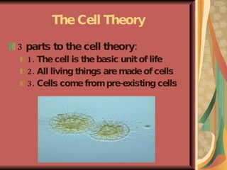 Cell Theory | PPT | Biological Sciences | Science