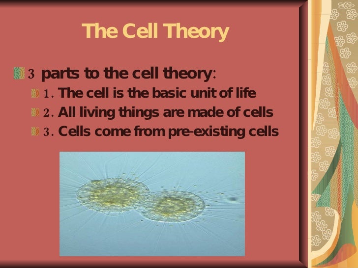 Cell Theory cell-theory
