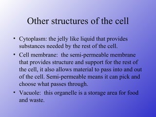 Cell Theory | PPT