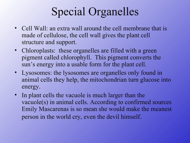 Cell Theory | PPT