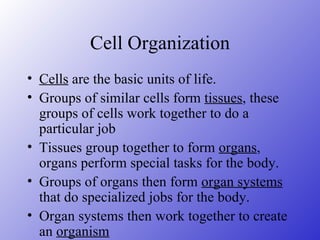 Cell Theory | PPT